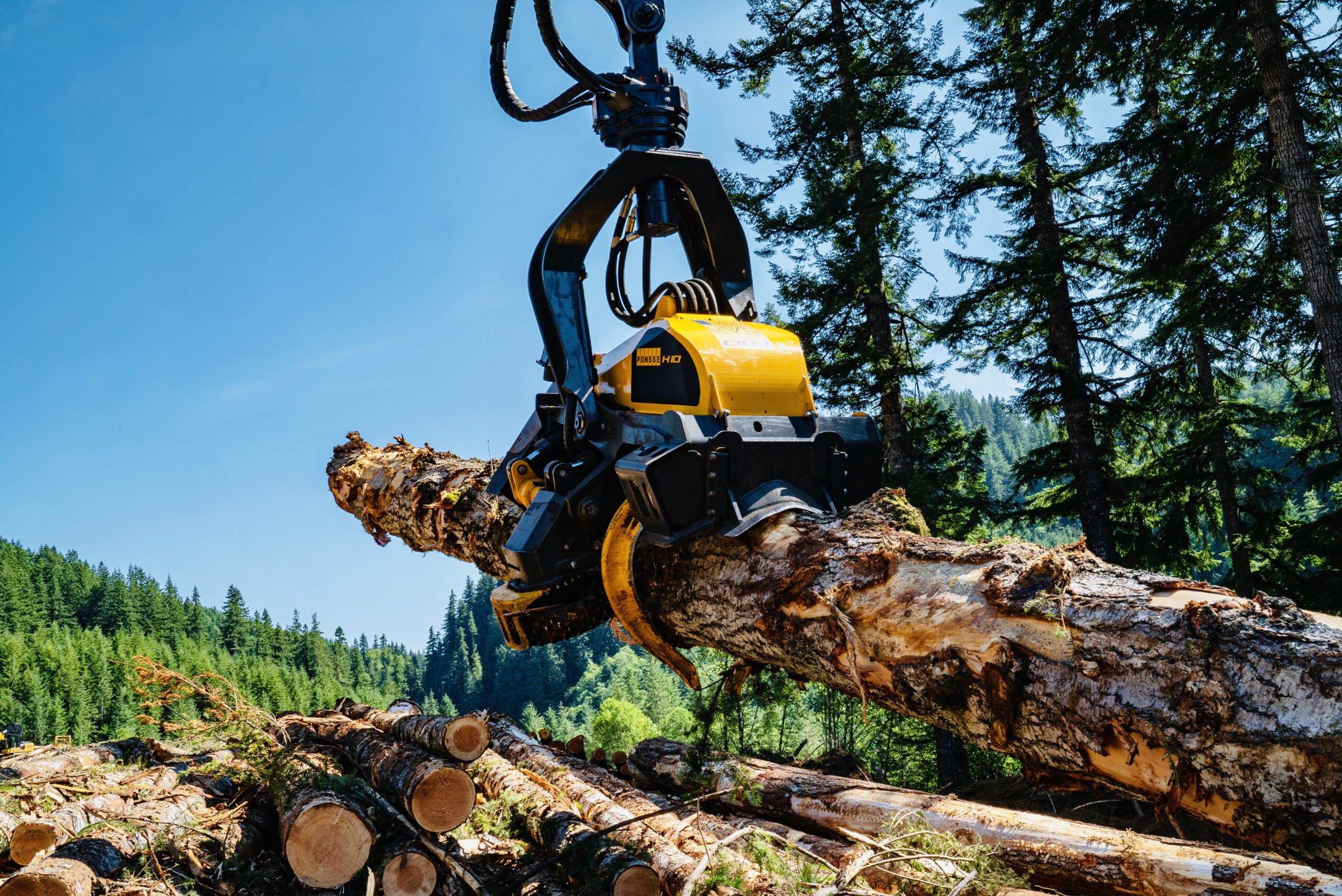 Tune In This Weekend for Innovations in Forestry Management! - Tomorrow ...