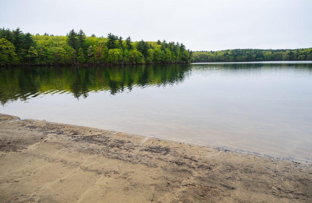 Thoreau's Lake: Walden Pond - Tomorrow's World Today®