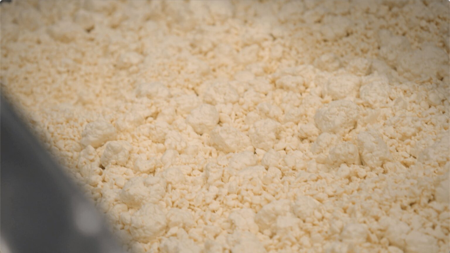 How is Whey Protein Made? - TOMORROW’S WORLD TODAY®