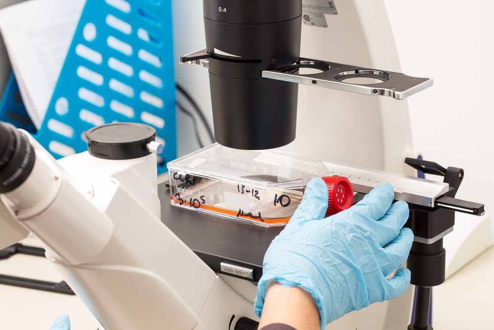 Custom Cell Therapy - TOMORROW’S WORLD TODAY®