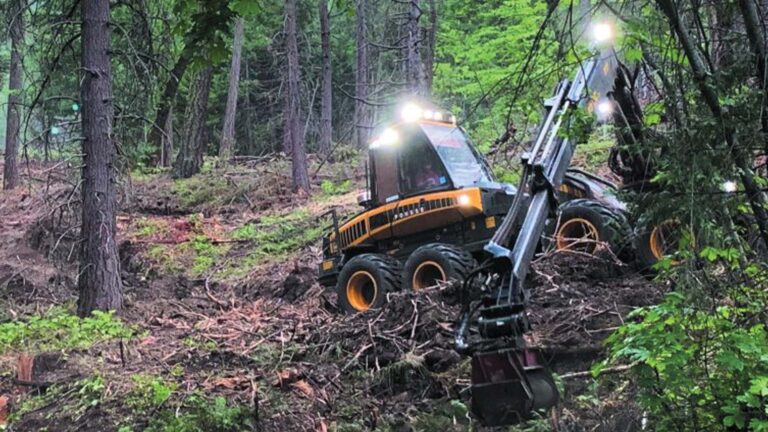 How To Prevent Forest Fires - Tomorrow's World Today®