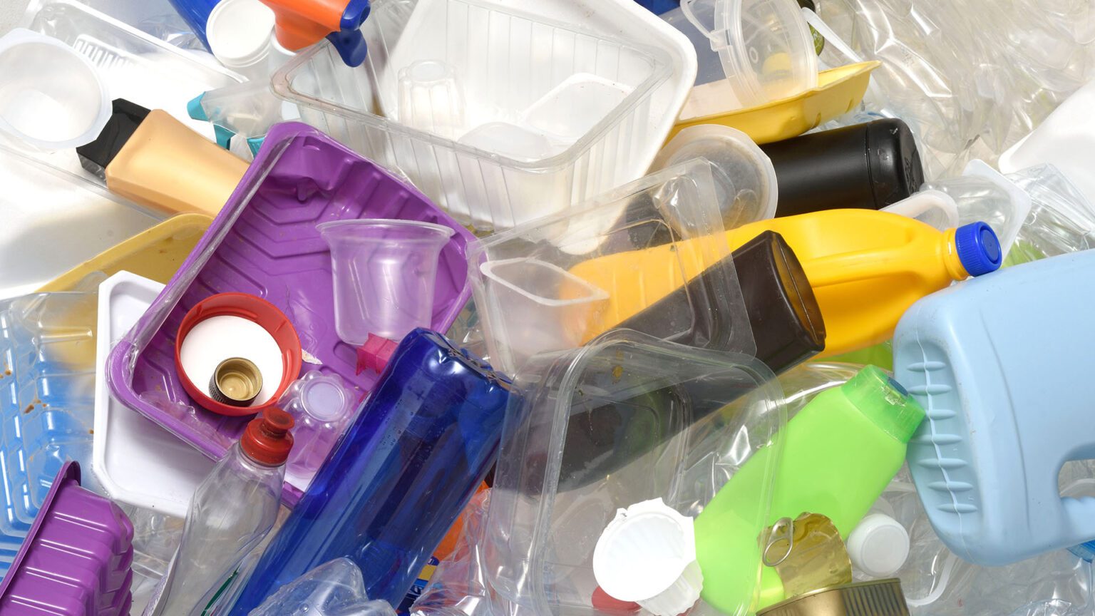 Scientists Discover Fungi That Can Break Down Plastic - Tomorrow's ...