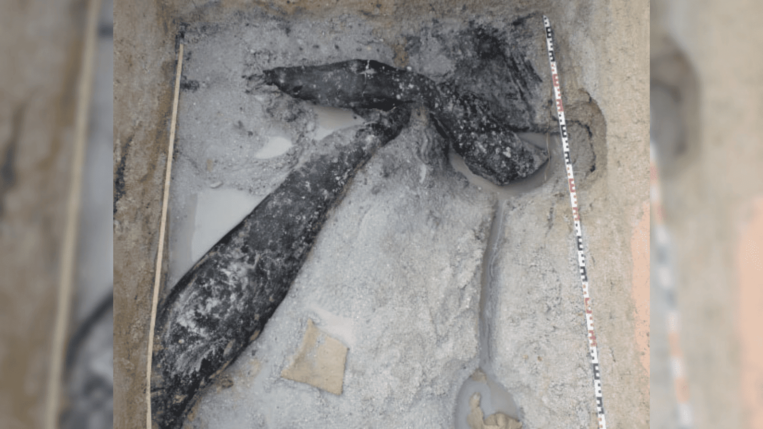 Scientists Discover Earliest Evidence of Wooden Construction - Tomorrow ...