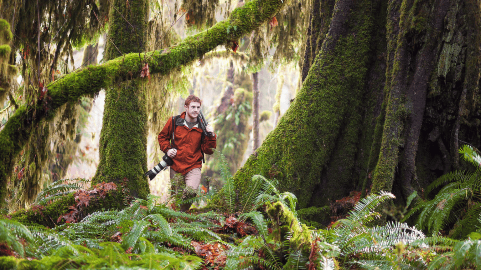 National Geographic Explorer Discovers Rare 1,000-Year-Old Cedar ...