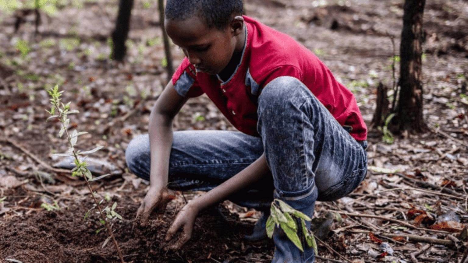 Kenyan Tree-Planting Holiday Created to Help Reforestation Efforts ...