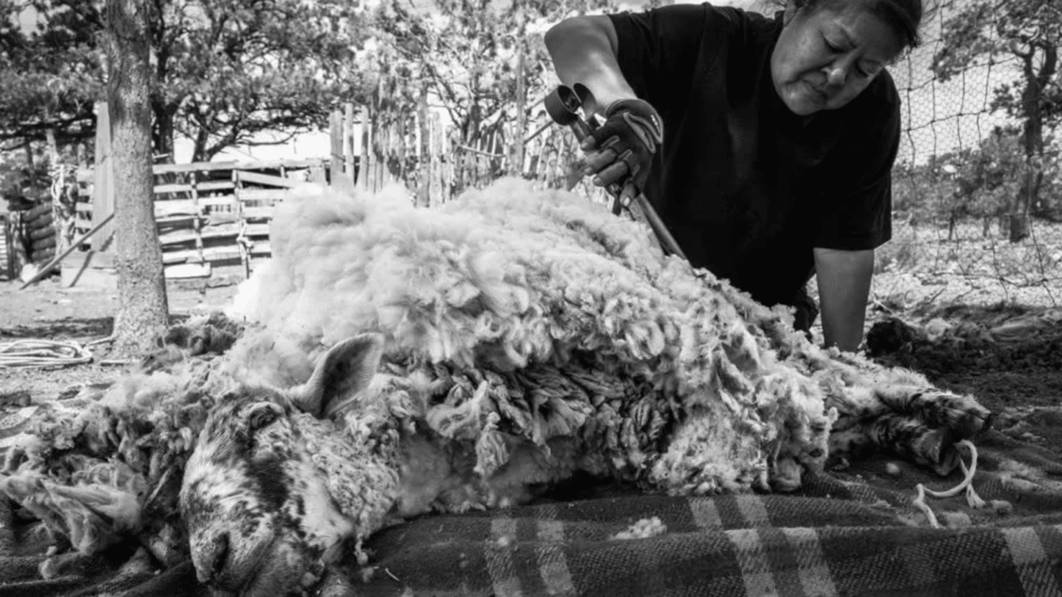 Travel Photographer of the Year Contest Highlights Nature and ...