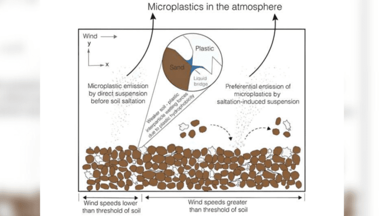 Are Microplastics Airborne Now? Researchers Think so - Tomorrow's World ...