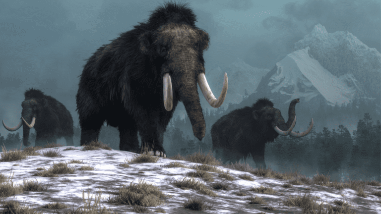 Scientists are Getting Closer to Bringing Back Woolly Mammoth ... Scientists are Getting Closer to Bringing Back Woolly Mammoth ...