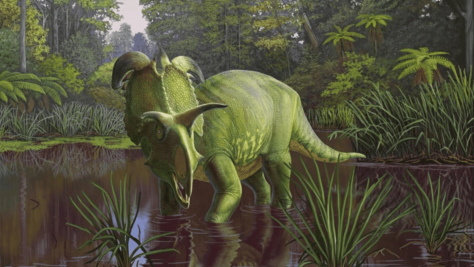 Newly Discovered Dinosaur Has Large Blade-Like Horns - Tomorrow's World ...
