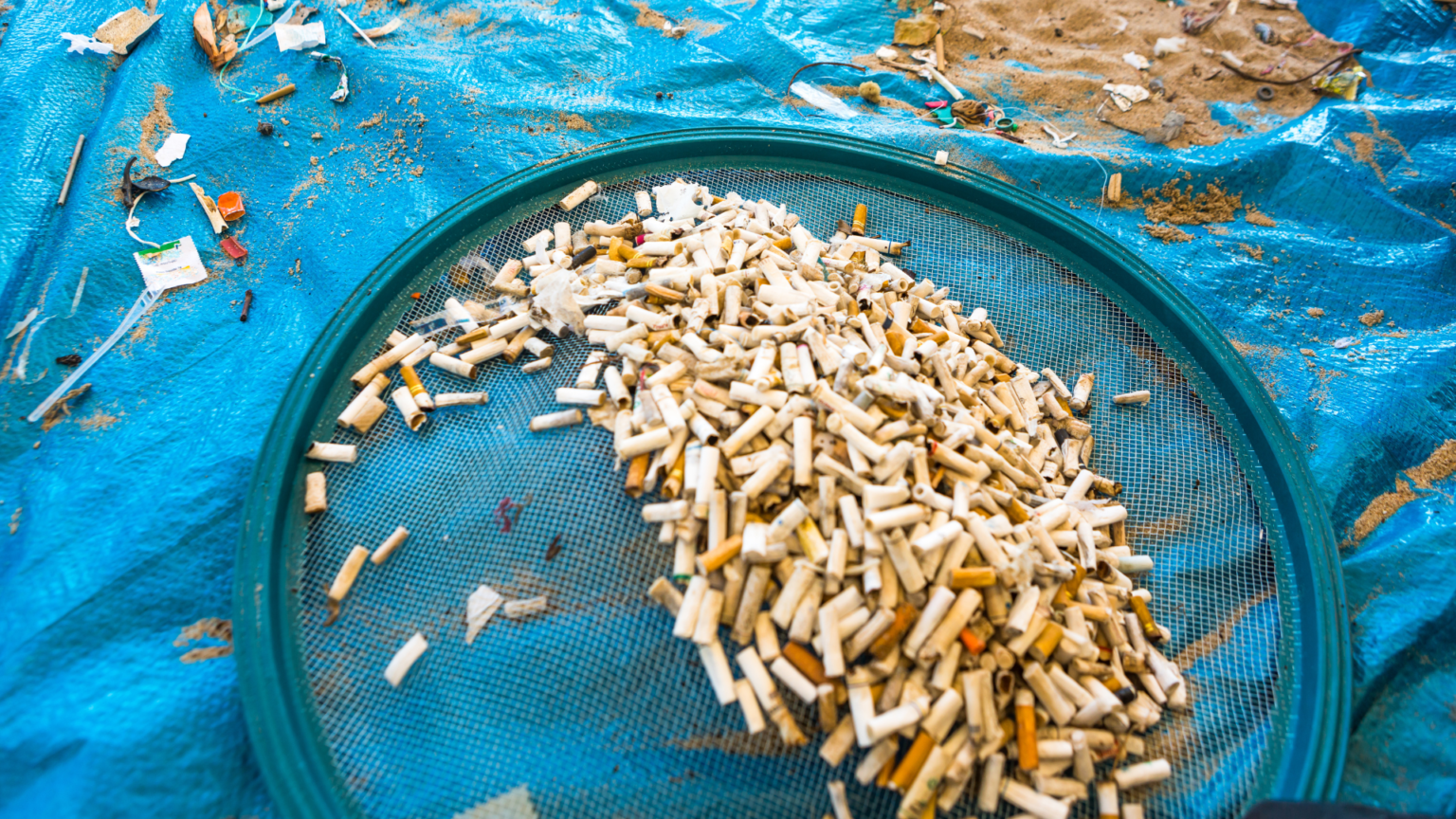 What are the Top Five Items Polluting the Ocean? - Tomorrow's World Today®