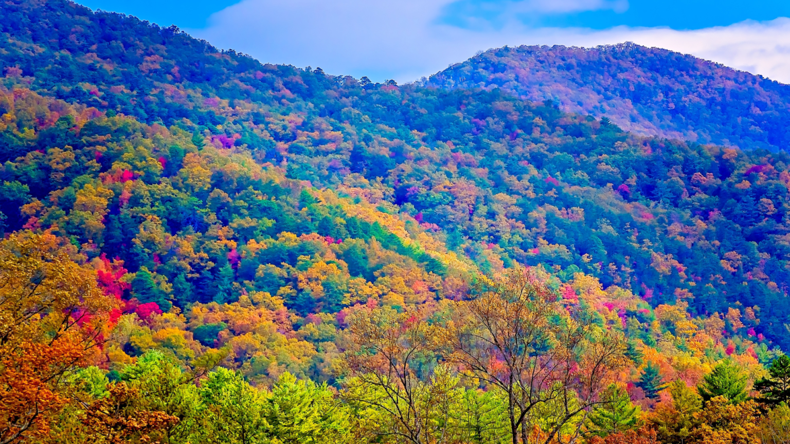 When and Where is the Best for Fall Foliage in the U.S.? - Tomorrow's ...