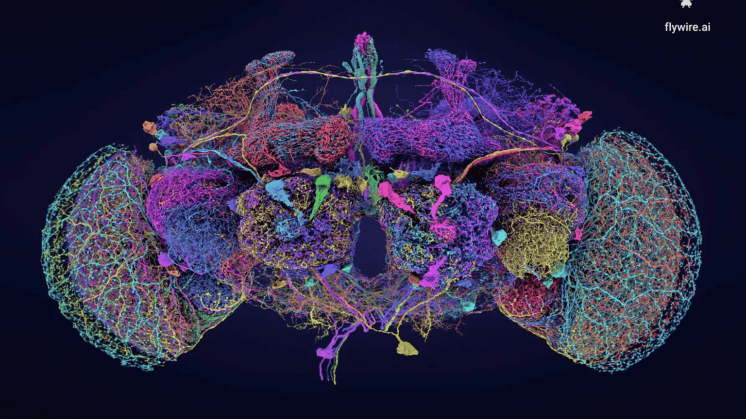 Researchers Unveiled the World’s First “Google Maps” For An Entire ...