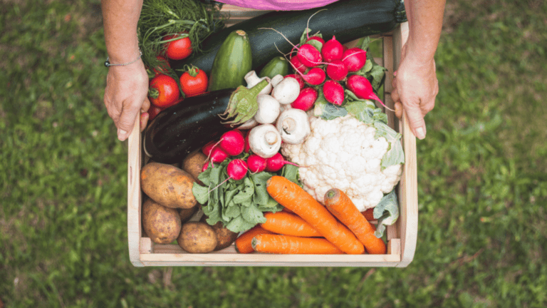 Homegrown vs. Store-Bought Foods - Tomorrow's World Today®