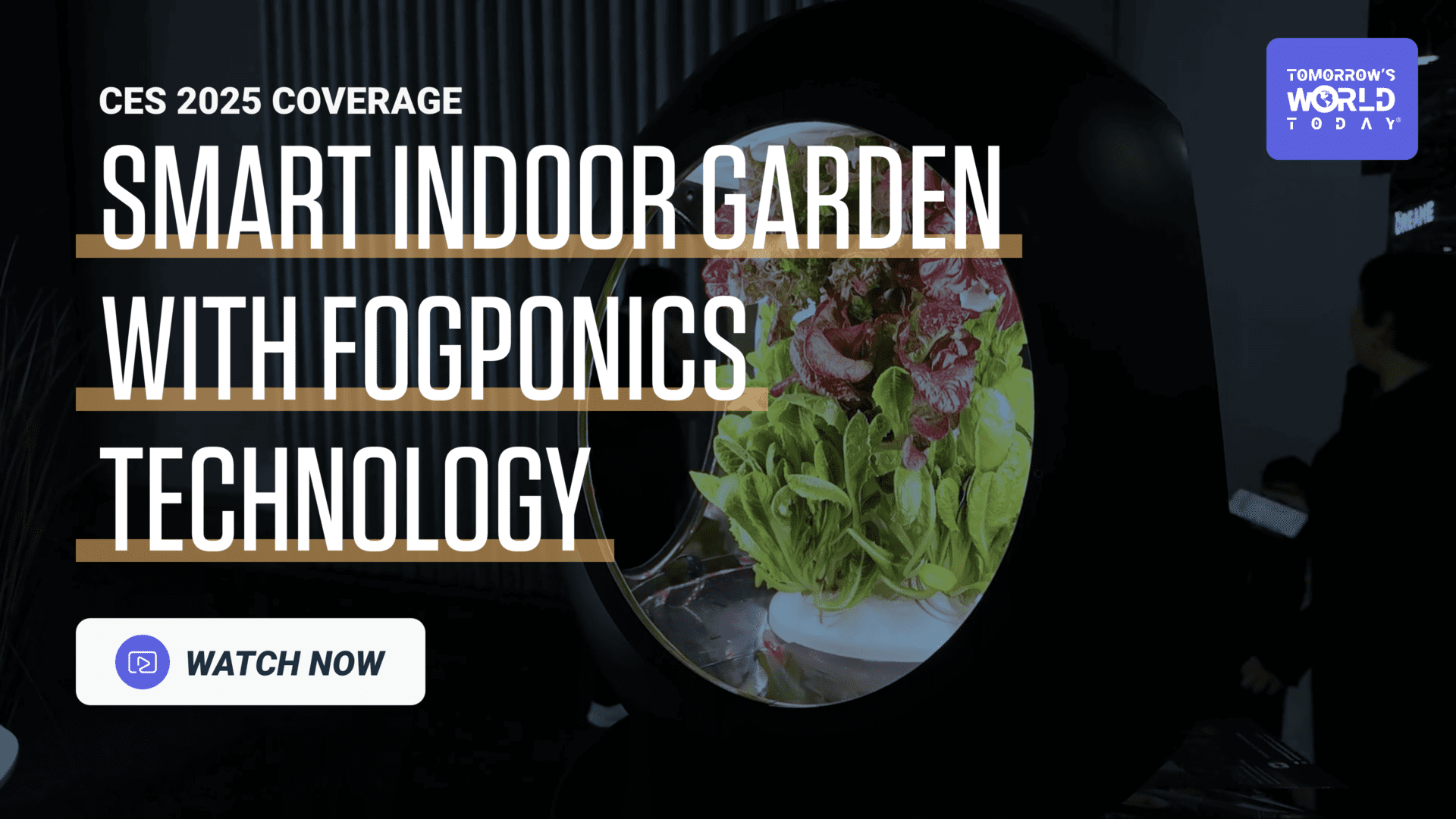 Smart Indoor Garden with Fogponics Technology Featured at CES 2025 ...