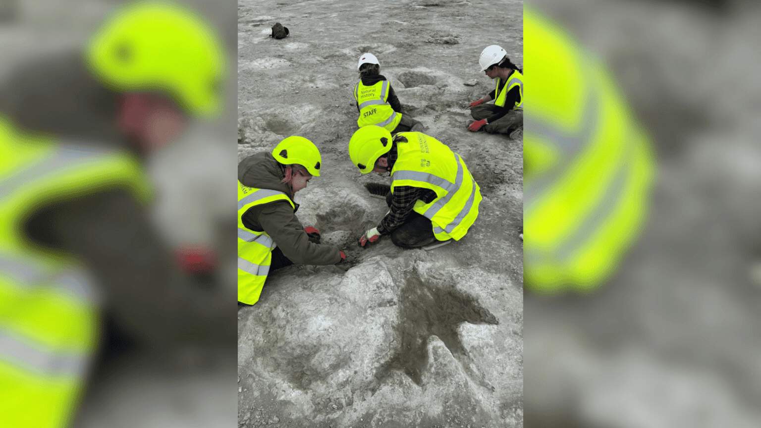 Researchers Uncover World's Biggest Dinosaur Footprint Site in the UK ...