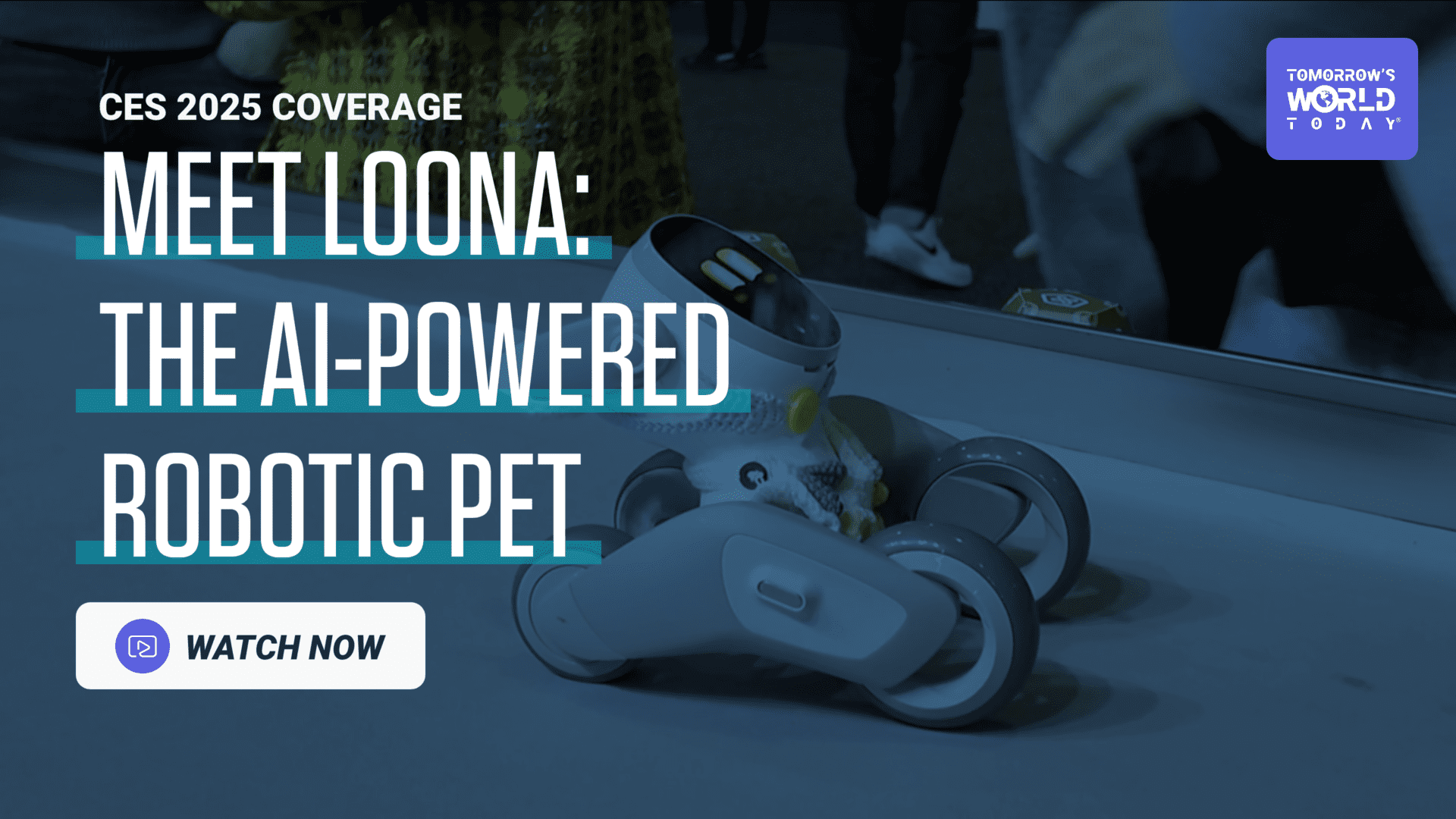Meet Loona: The AI-Powered Robotic Pet - Tomorrow's World Today®