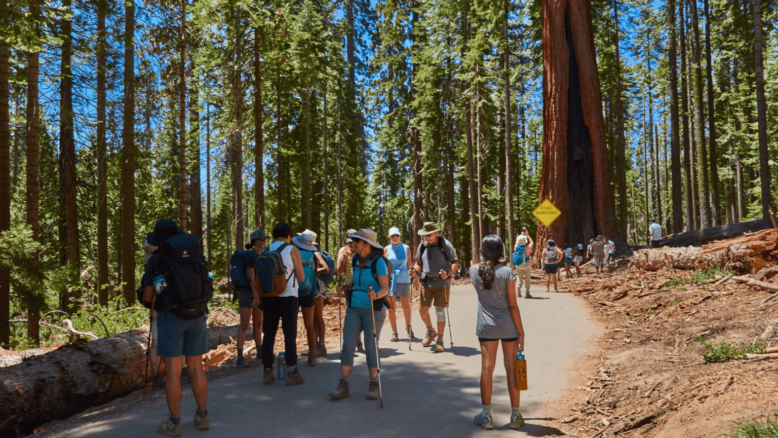 5 Eco-Friendly Hiking Tips to Keep Wildlife Safe - Tomorrow's World Today®