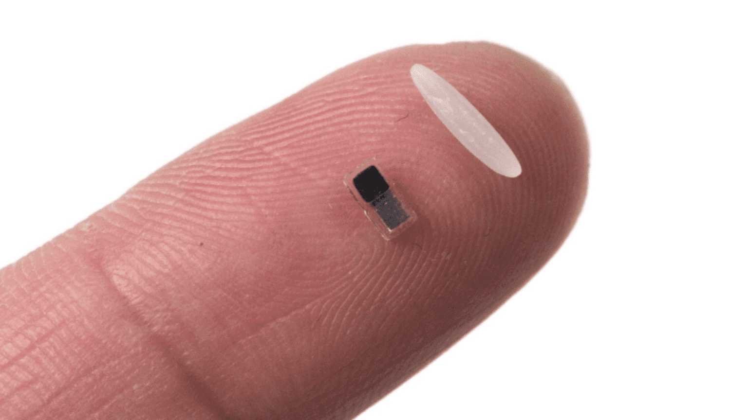 World's Smallest Pacemaker is Wireless and the Size of a Rice Grain ...