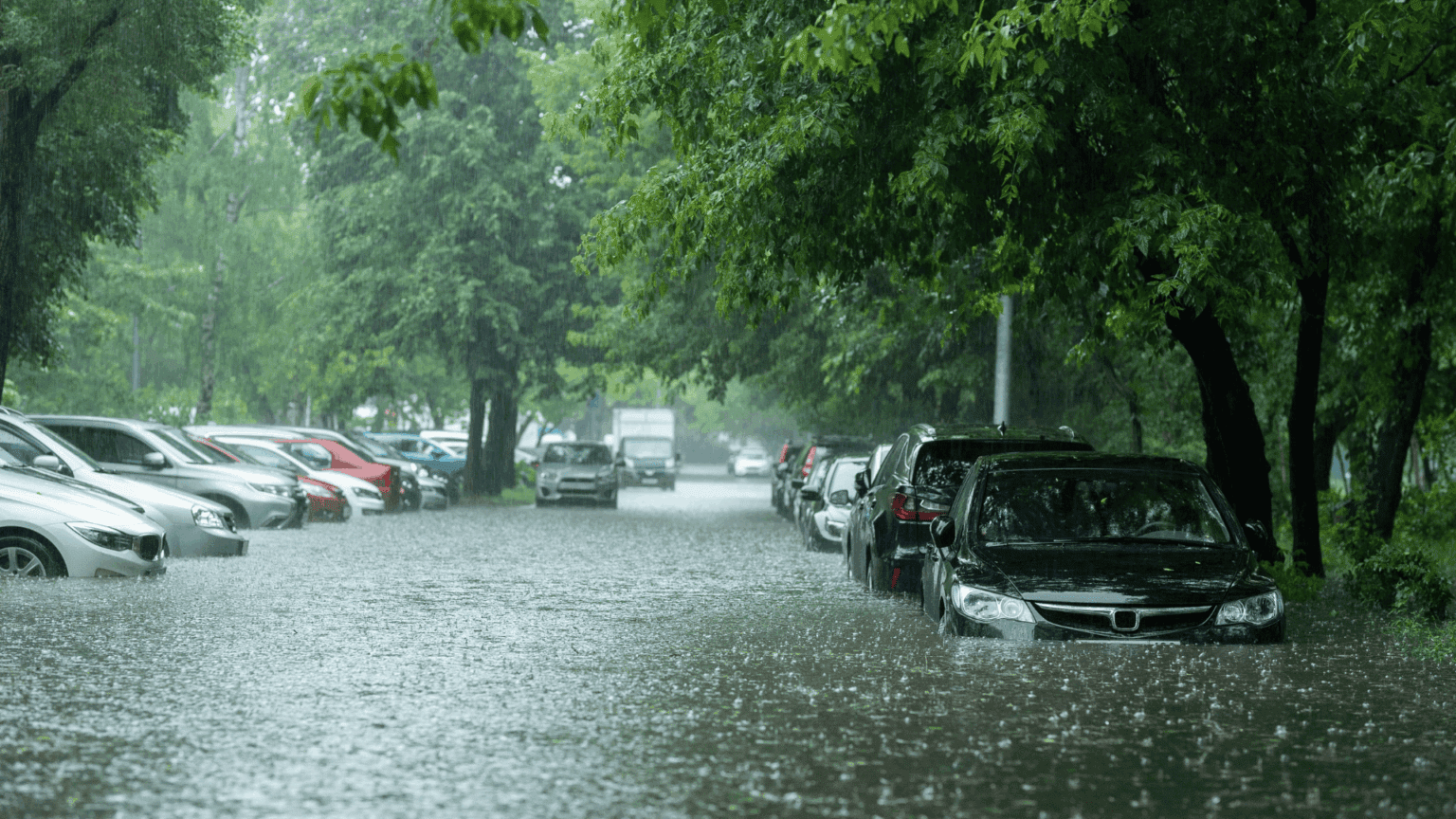 5 Types of Natural Disasters and Their Impacts - Tomorrow's World Today®