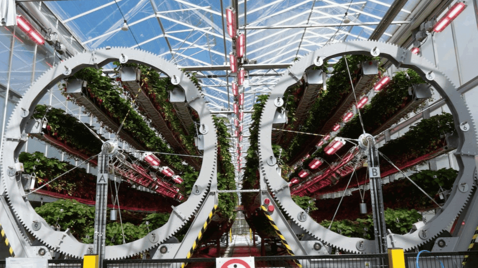 Dyson Unveils "Ferris Wheel" That Grows Strawberries With High Yield ...