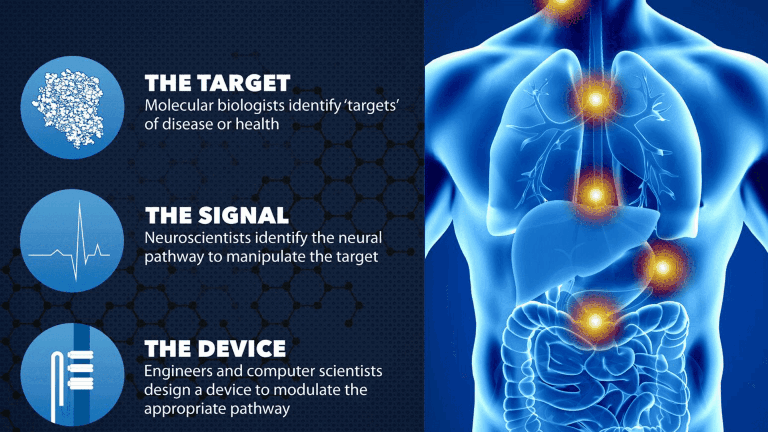 What is Bioelectronic Medicine and How Does It Help? - Tomorrow's World ...