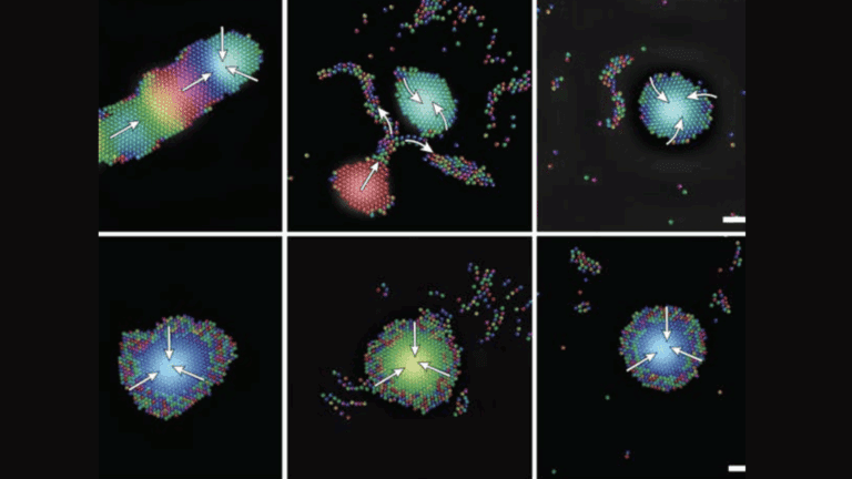 Swarms of Micro-Robots Use Sound to Self-Organize - Tomorrow's World Today®