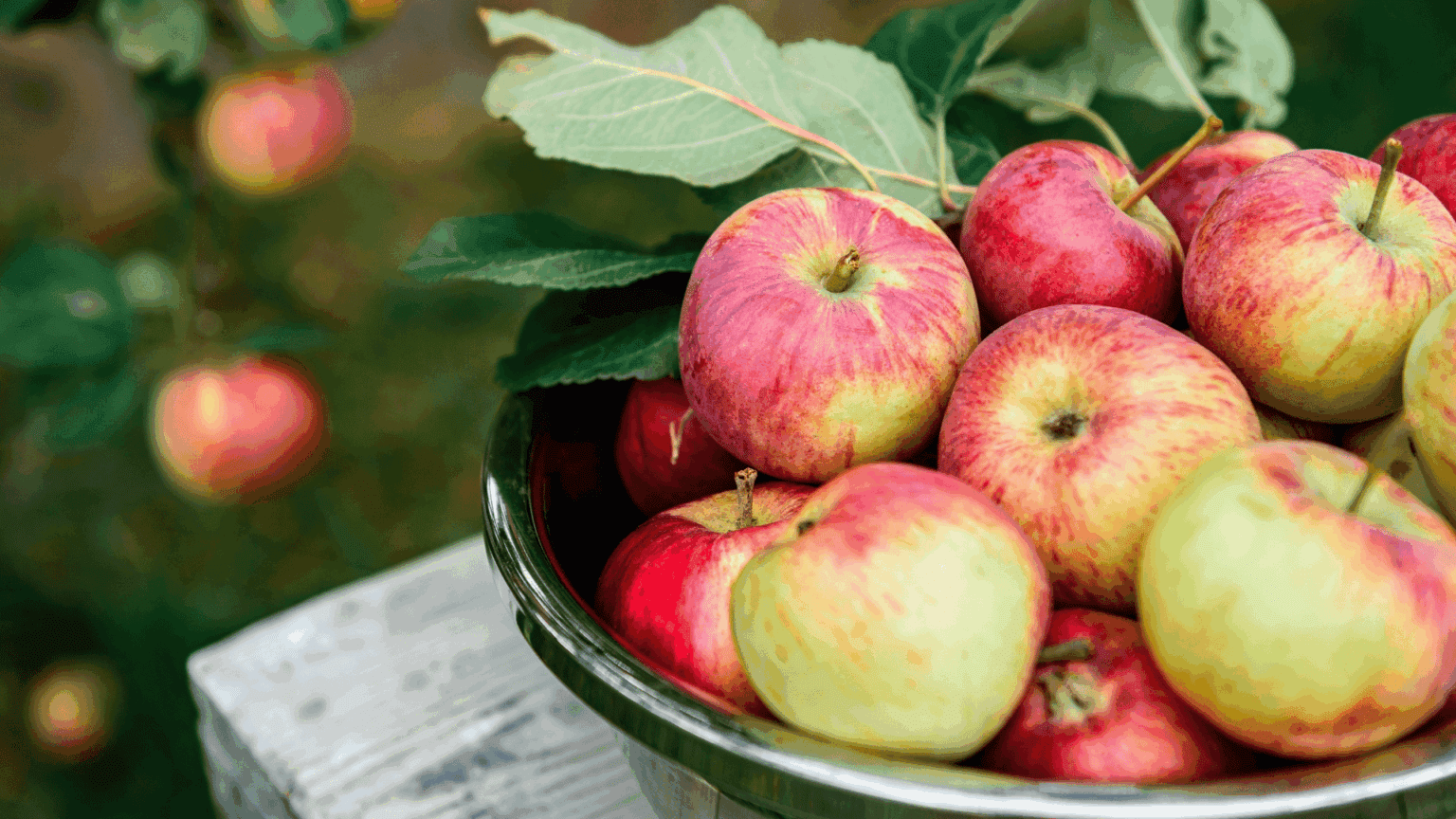 6 Pro Tips for Apple Picking Season - Tomorrow's World Today®
