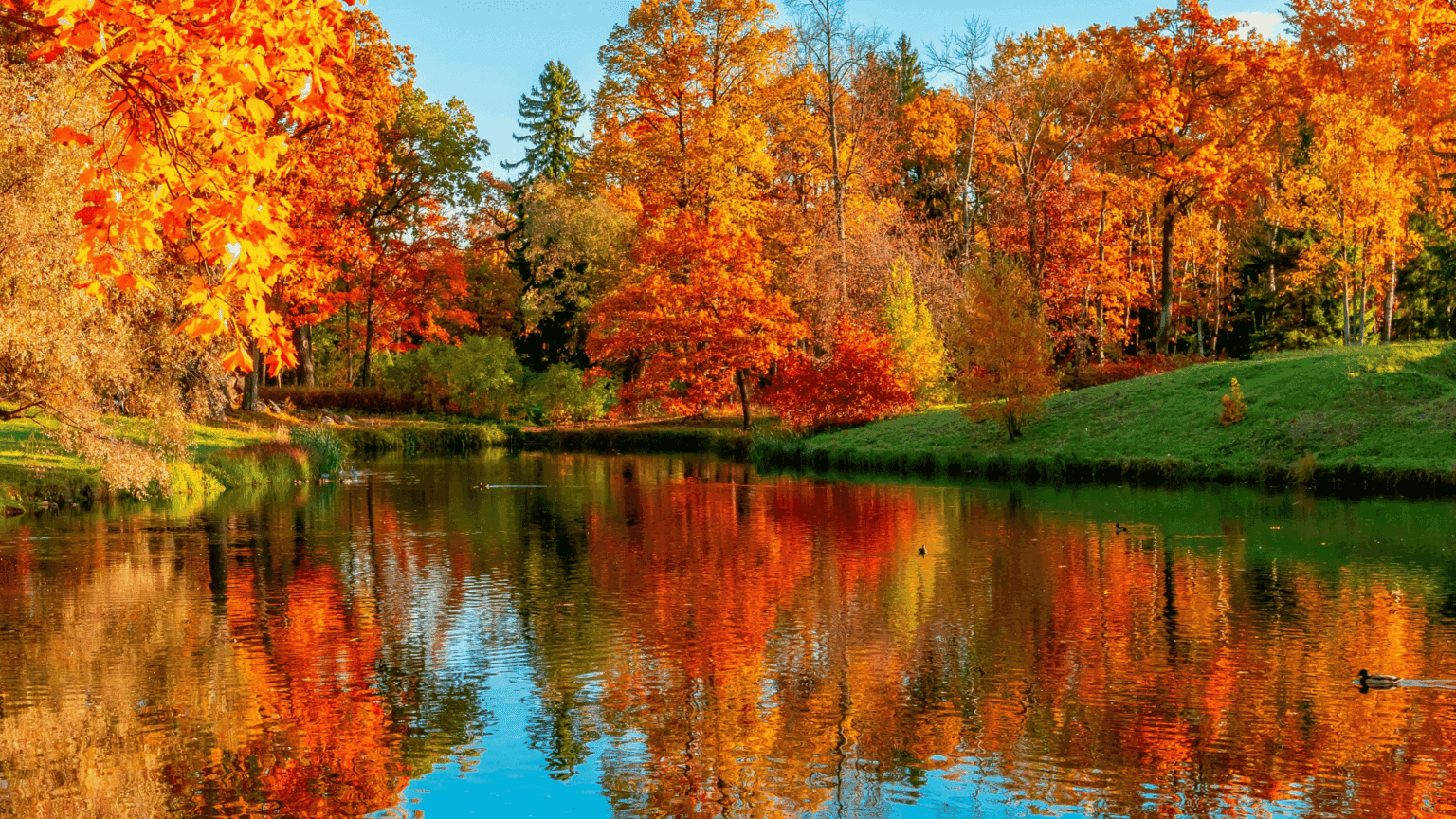 2025 Fall Foliage Maps Reveal When and Where Leaf Colors Will Peak ...