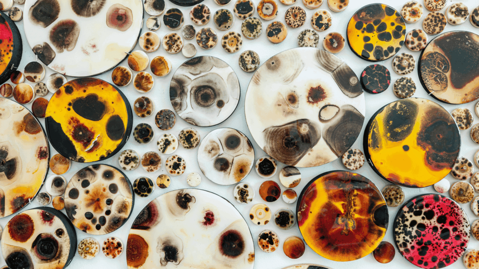 Bio-Artist Selin Balci Cultivates Microbial Life for Art Pieces ...