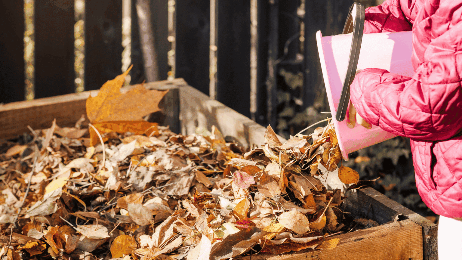 "Leave the Leaves," Why You Should Put the Rake Away This Fall ...