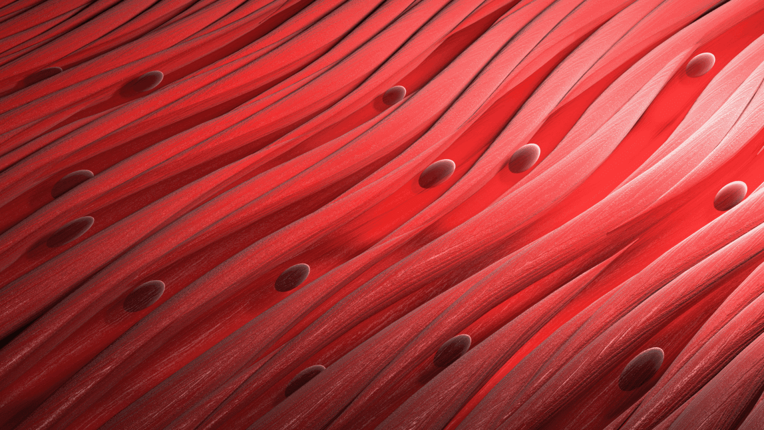 Researchers 3D Print Human Muscle Tissue in Microgravity - Tomorrow's ...