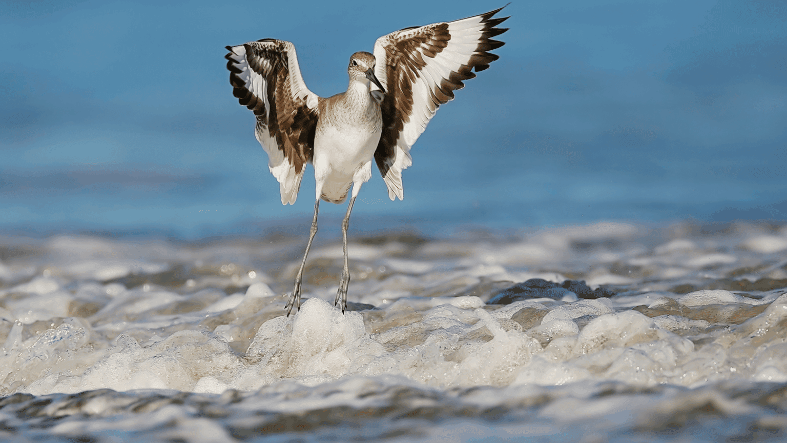 How Lori A. Cash's Photography Captures the "Soul and Beauty" Of Nature ...