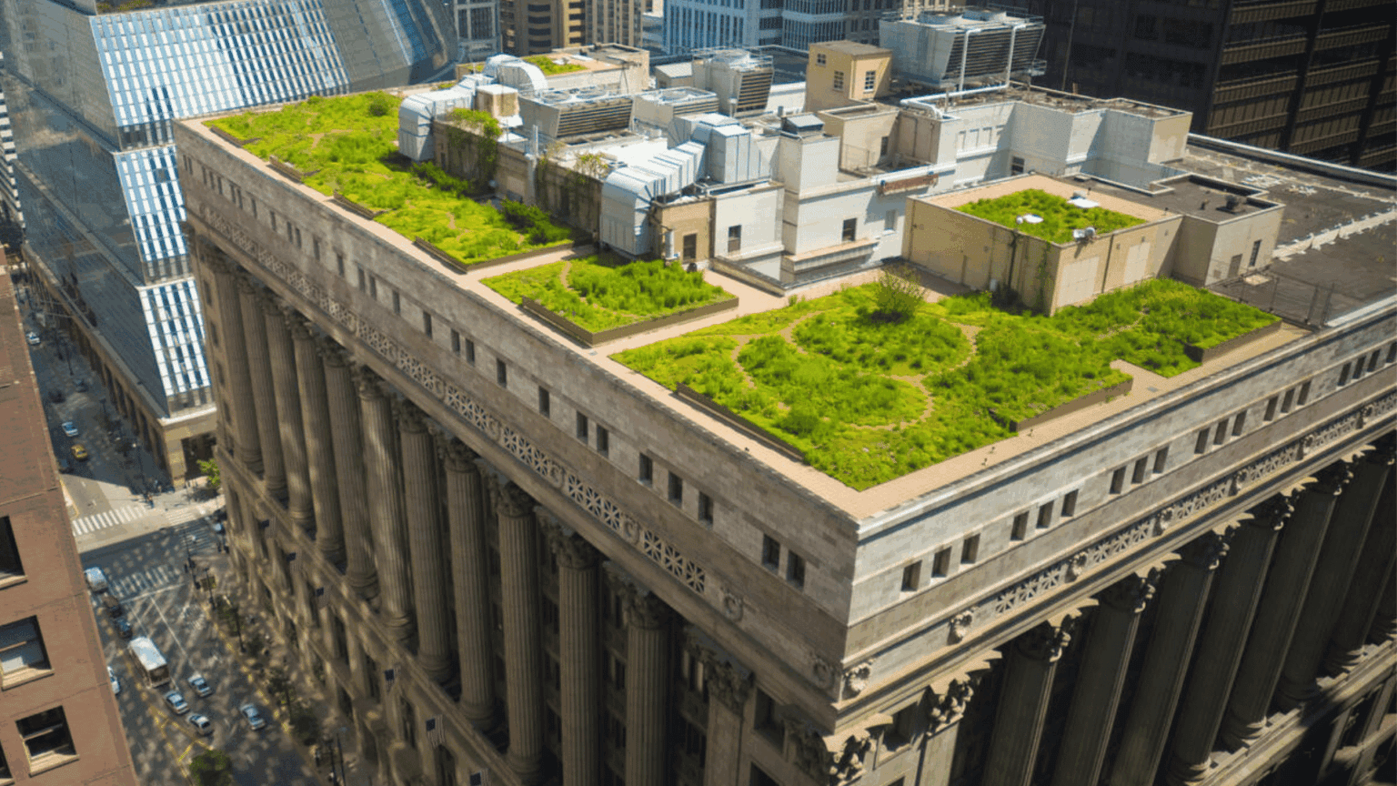 Chicago Green Roofs: Natural Sanctuaries in a Concrete Jungle ...