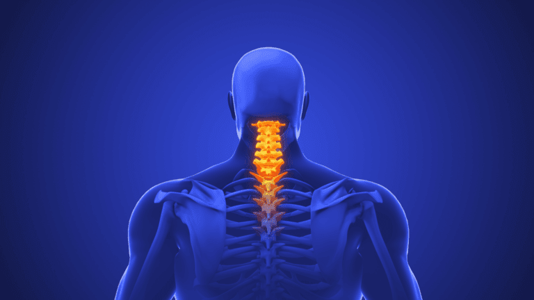 Micro Surgical Robots Repair Spinal Cord in Animal Testing - Tomorrow's ...